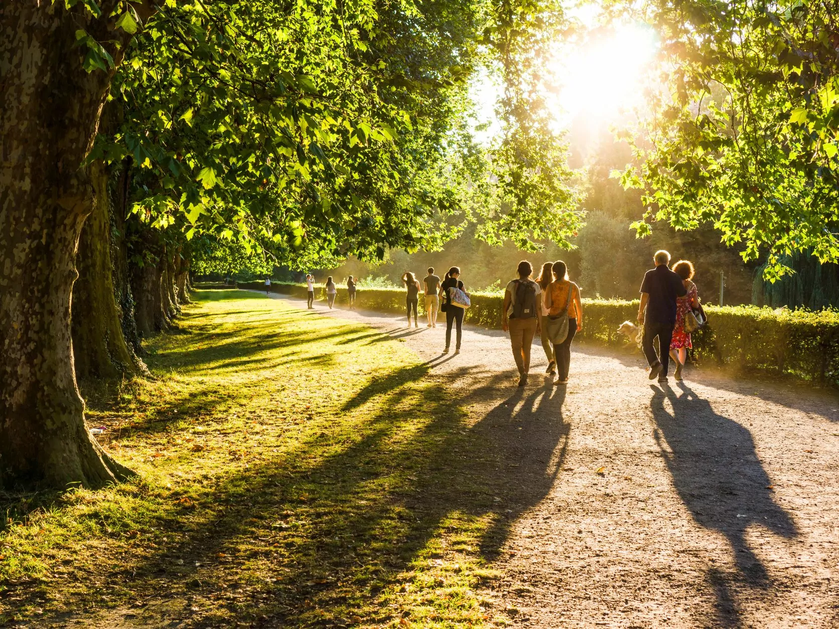 Walking is good for you | Insight | Be Healthy Bucks